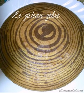 DIY: Le Gâteau Zébré! (Avec Photos Pas à Pas!) - Allo Maman Dodo
